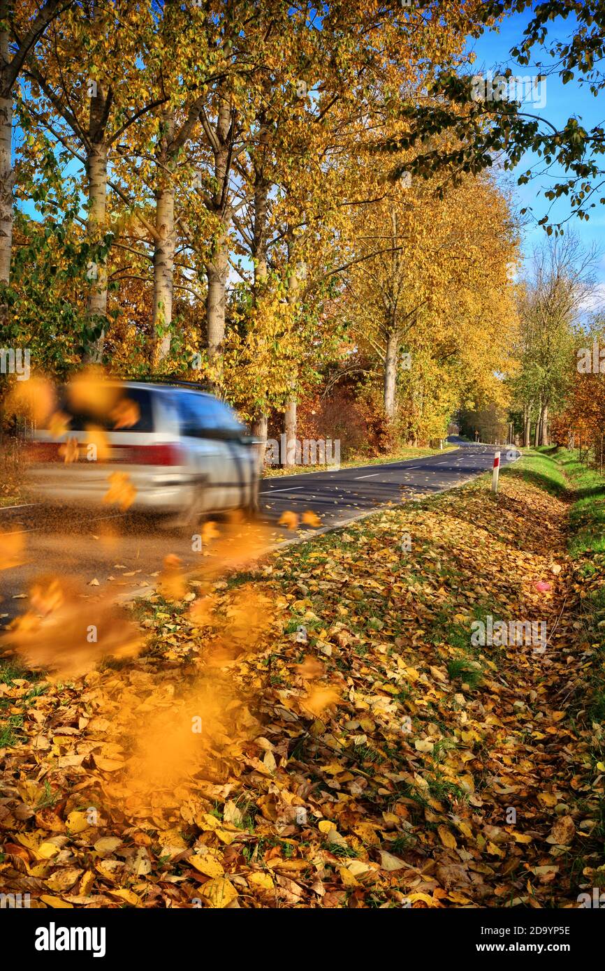 beautiful golden sunny autumn and car on road Stock Photo - Alamy