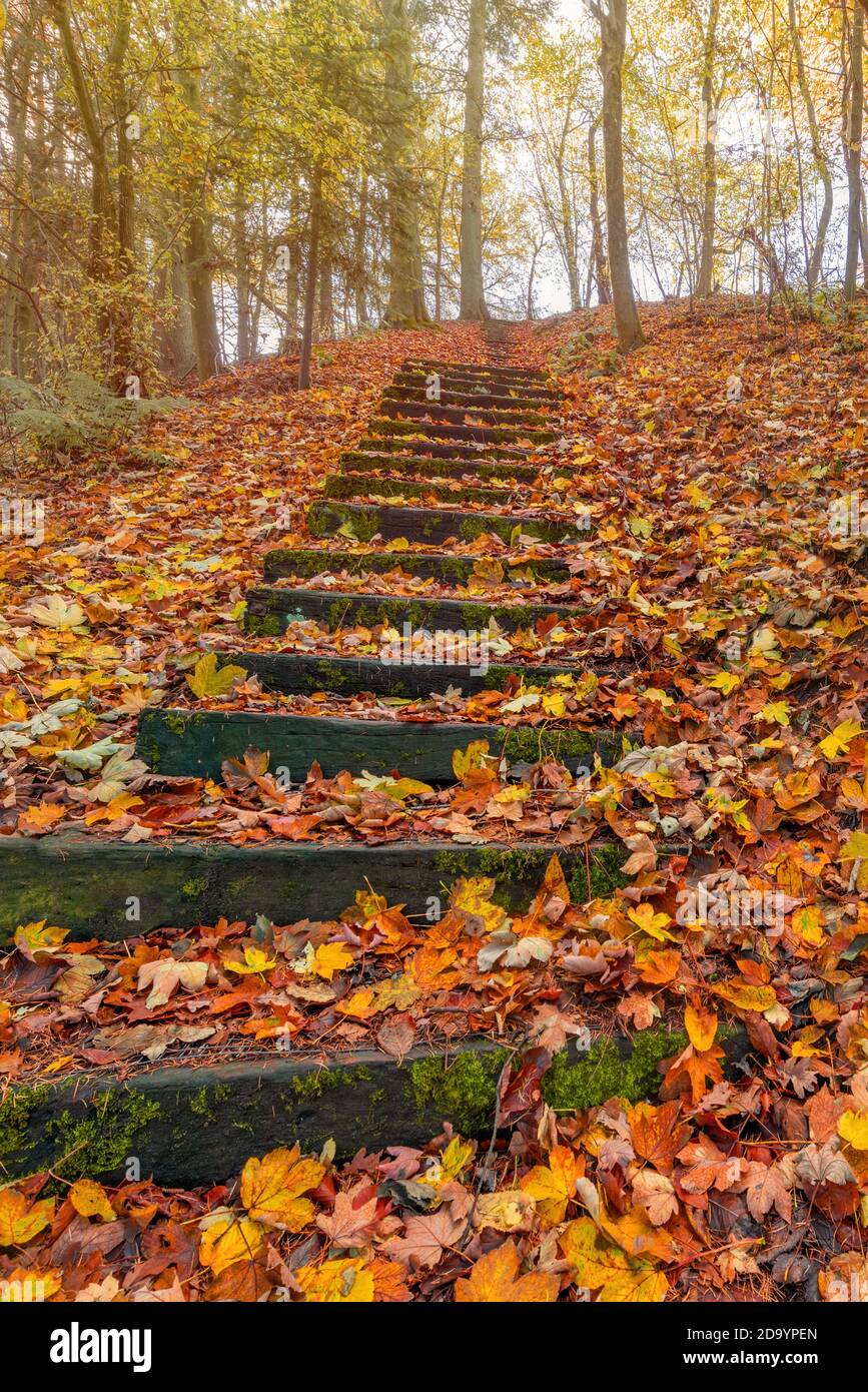 Fall scene backgrounds hi-res stock photography and images - Alamy
