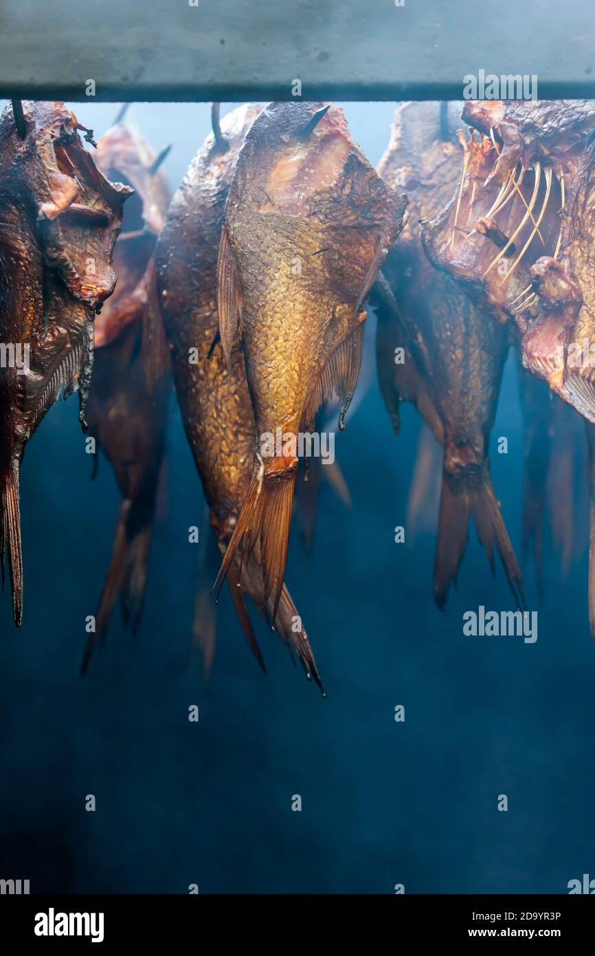 still life of smoked fish Stock Photo - Alamy