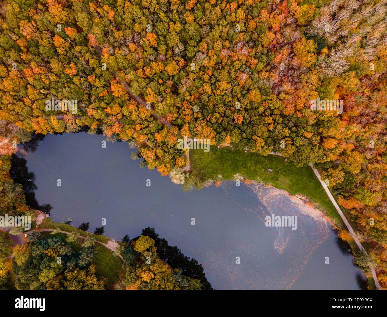 Fall colour reflected in the still waters of a lake near Urk ...