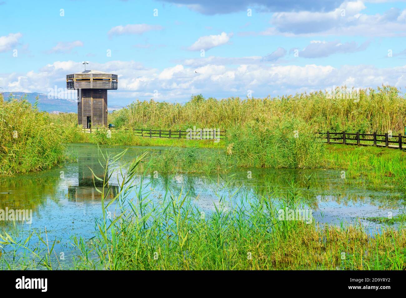 View of the observation tower, with wetland landscape, in the Hula ...