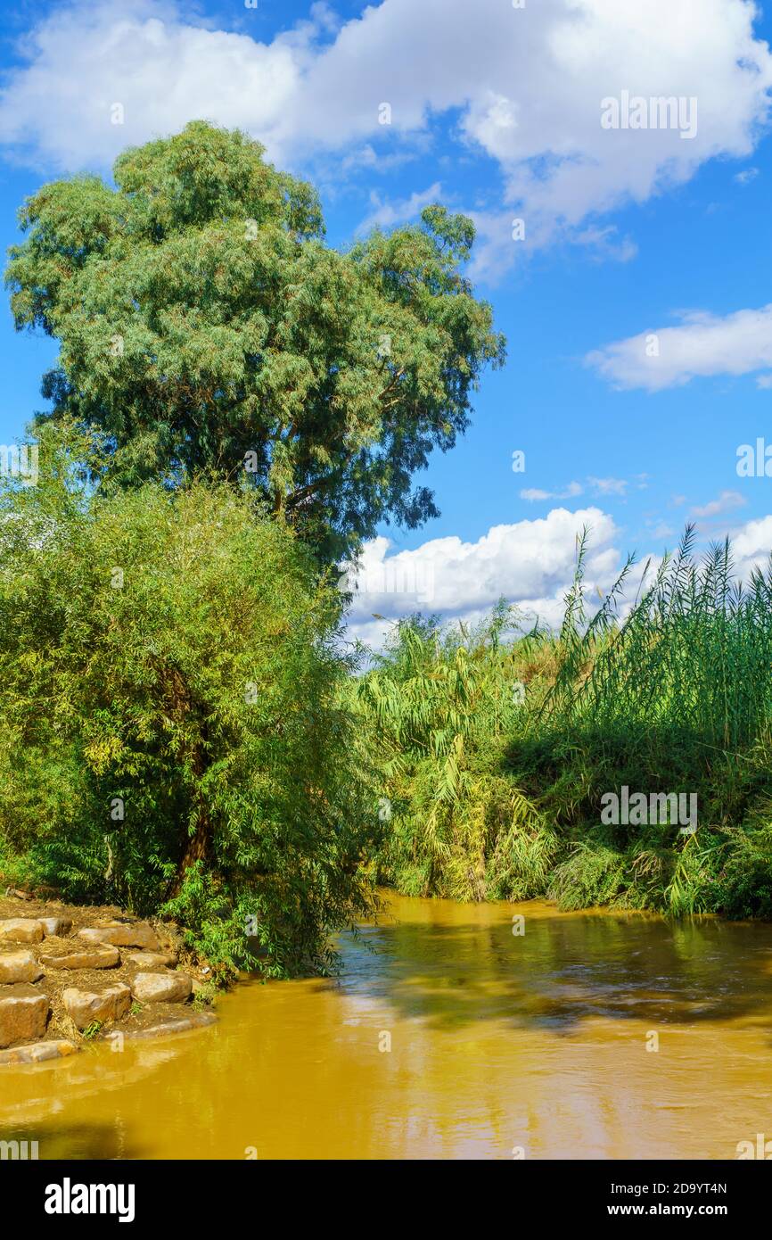 View of the Jordan River with Eucalyptus trees and other plants ...