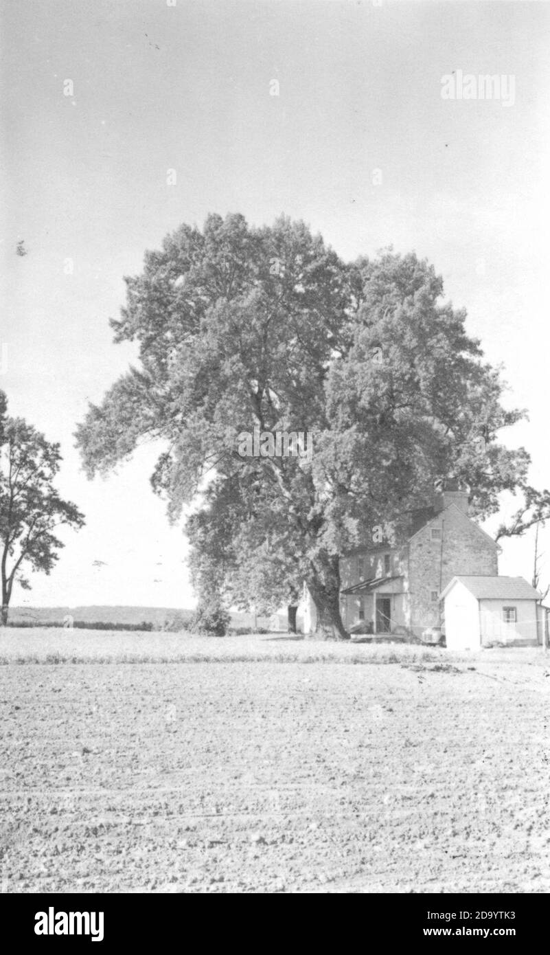 Stoltzfus Farm In Morgantown Pennsylvania Stock Photo - Alamy