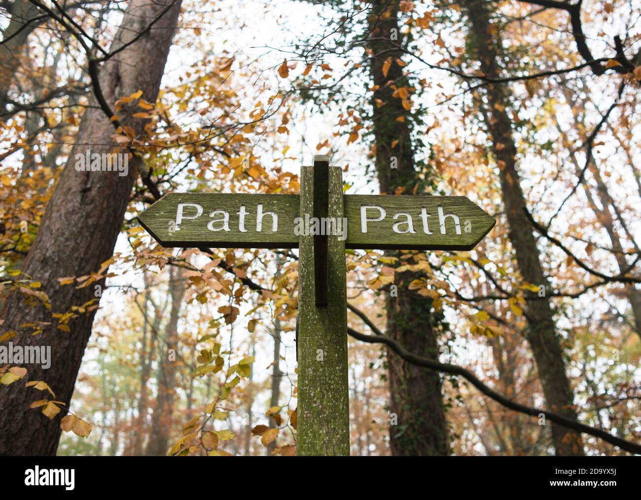 Sign points either way Stock Photo - Alamy