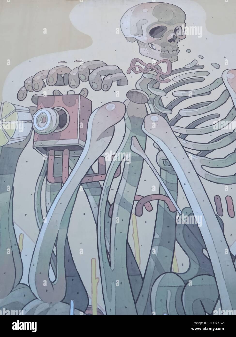 Street art in Portugal - Graffiti of a photographer skeleton with a ...