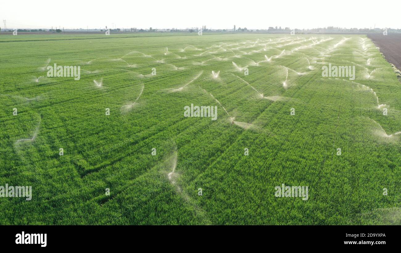 Irrigation systems in grass field. Aerial view. Spring at sunset Stock ...