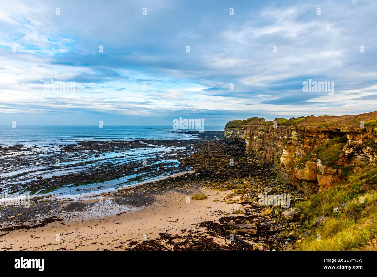 Castlehead rocks, Holy Island, Northumberland, UK Stock Photo - Alamy