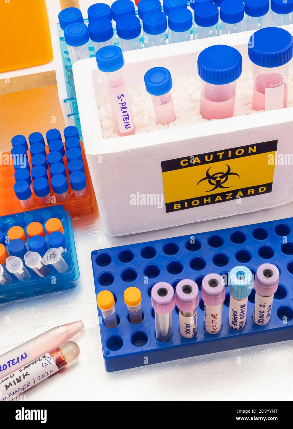 Protein metabolism hi-res stock photography and images - Alamy