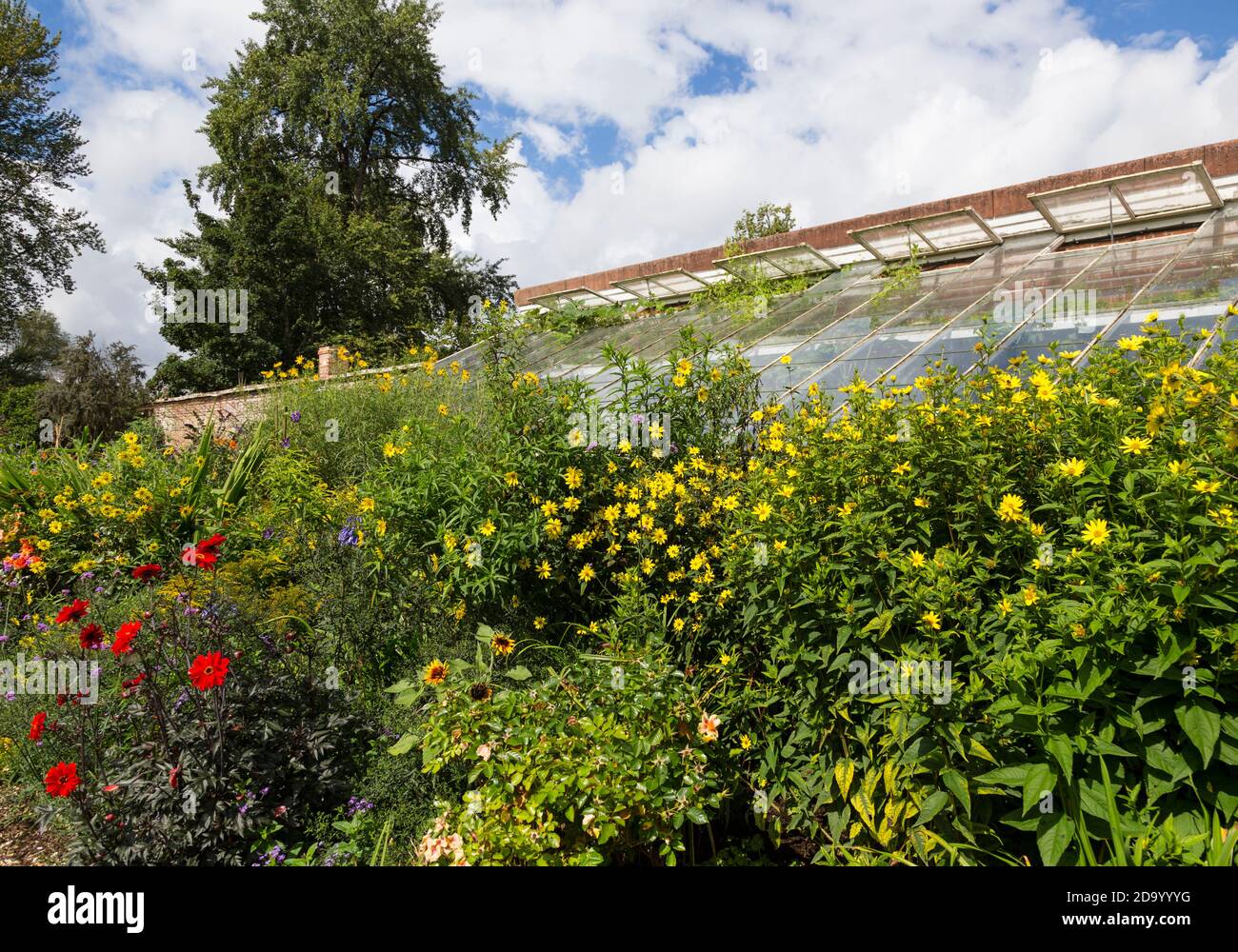 Garden scene at Forde Abbey in Devon Stock Photo - Alamy