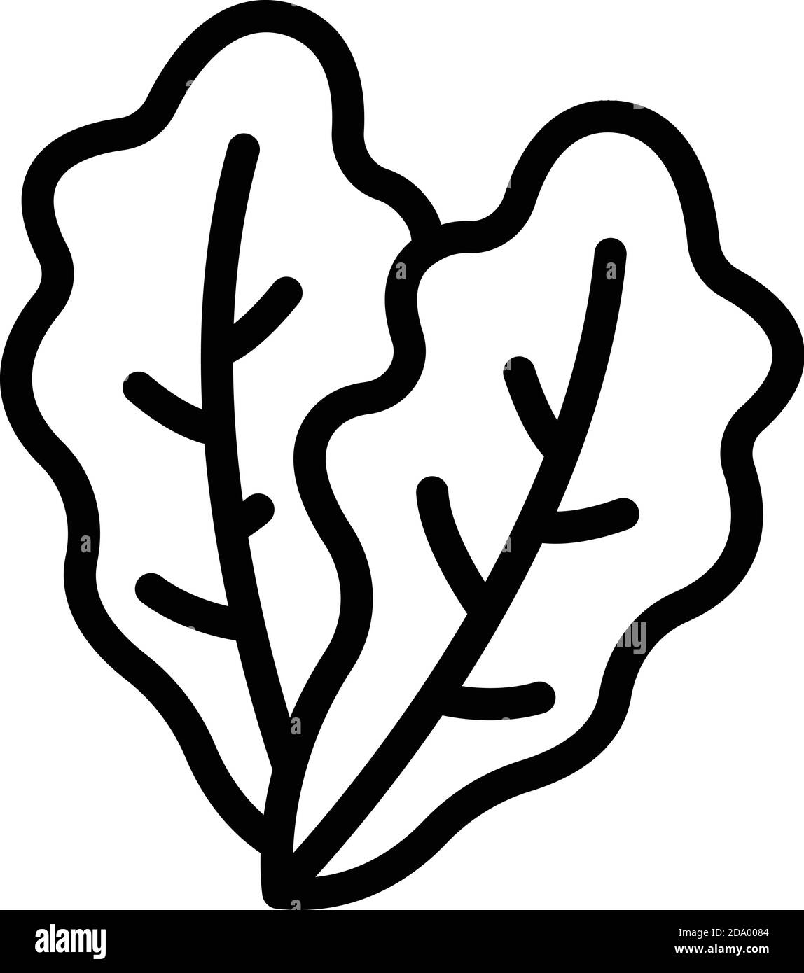 Salad leaf icon. Outline salad leaf vector icon for web design isolated ...