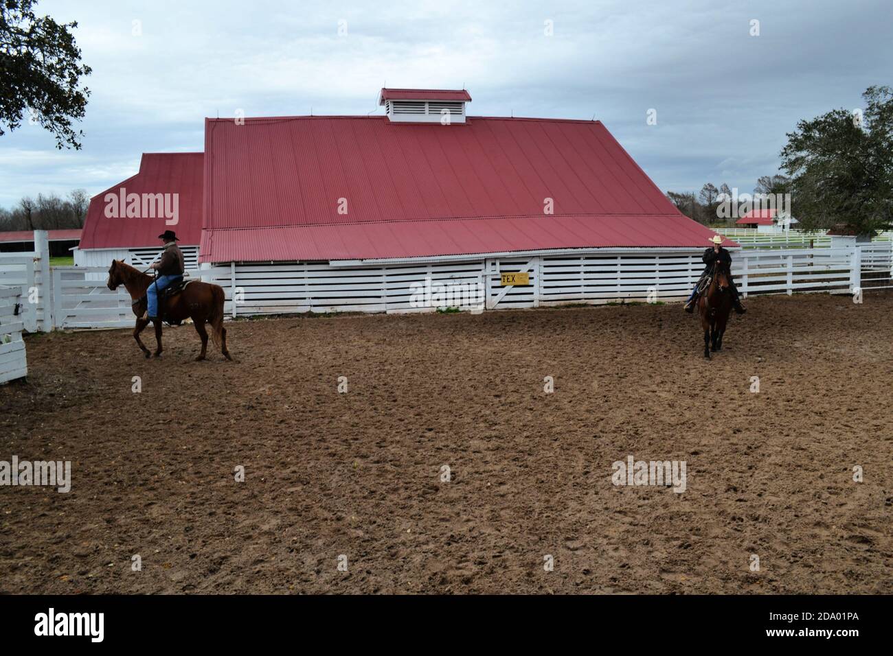 George ranch texas hi-res stock photography and images - Alamy