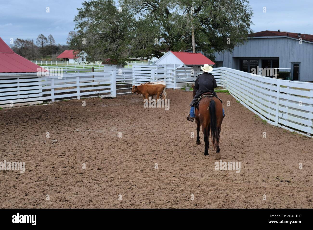 George ranch hi-res stock photography and images - Alamy