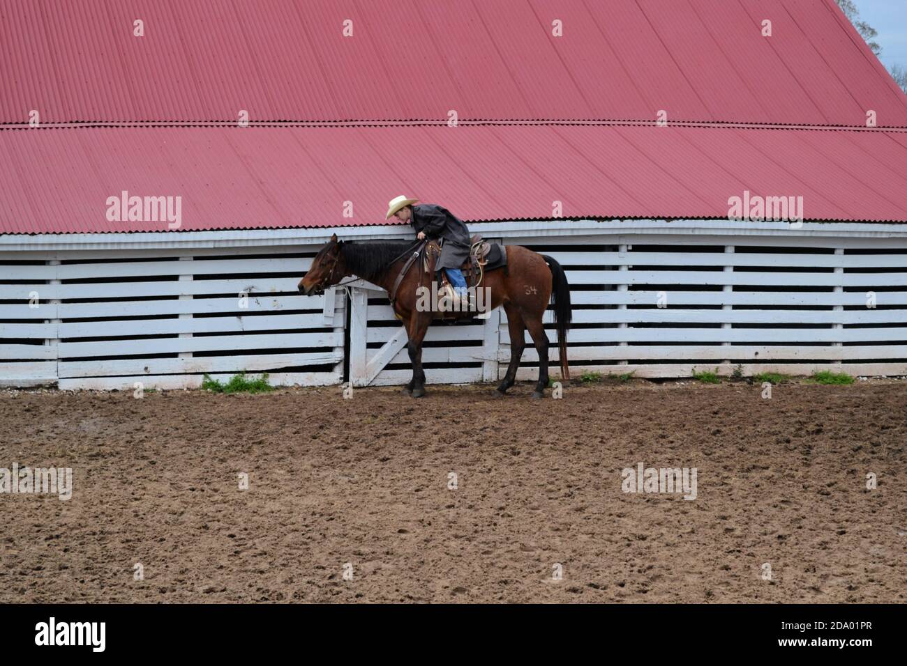 George ranch texas hi-res stock photography and images - Alamy