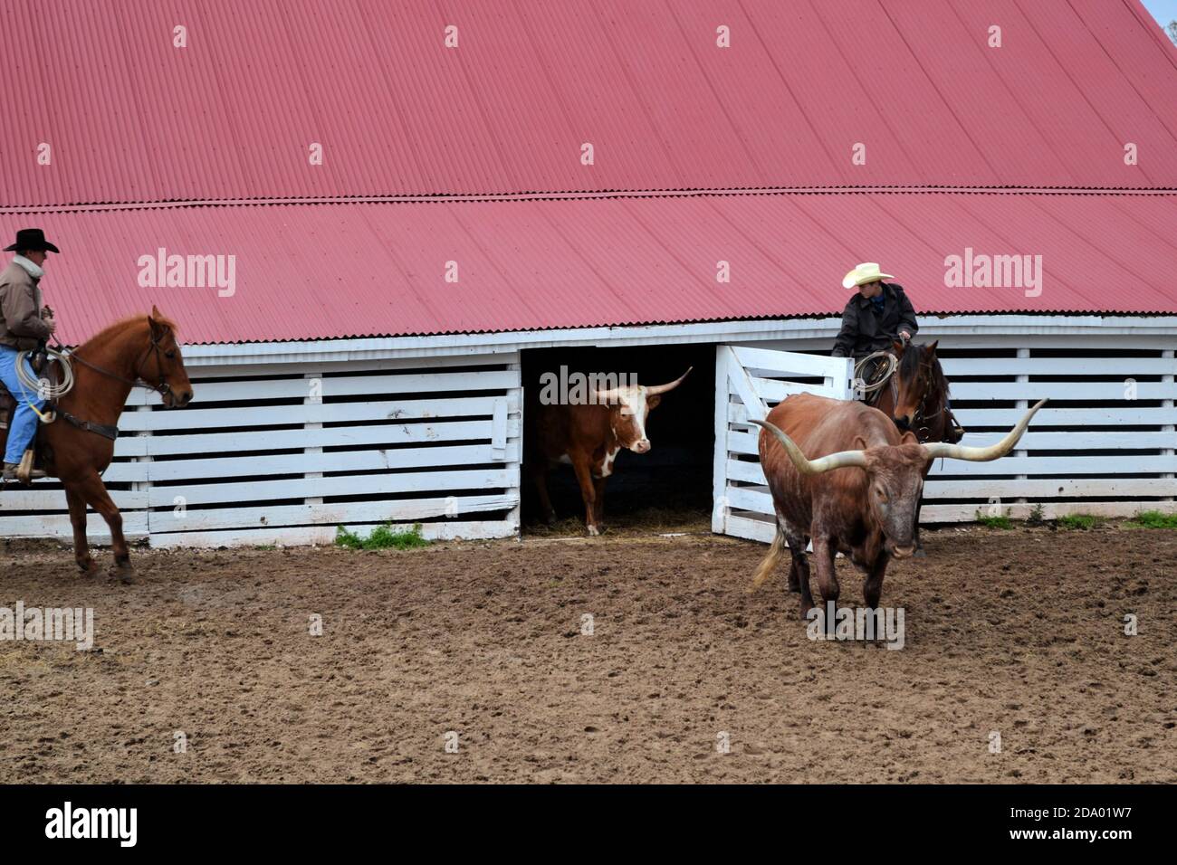 George ranch texas hi-res stock photography and images - Alamy