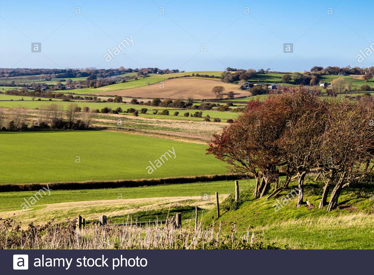 Brede High Resolution Stock Photography and Images - Alamy