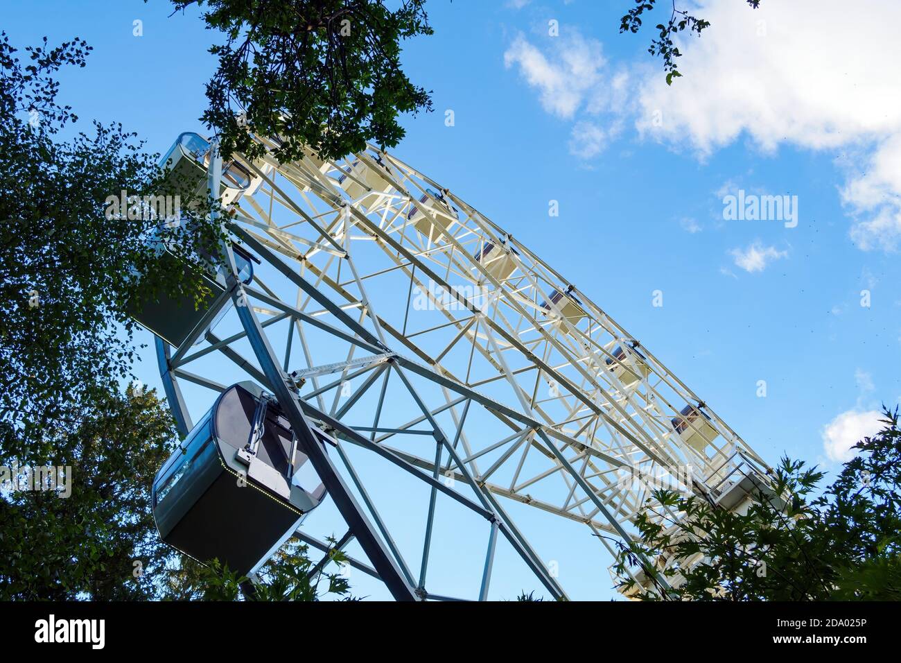 Bottom view of ferris wheel through green tree on background of blue ...