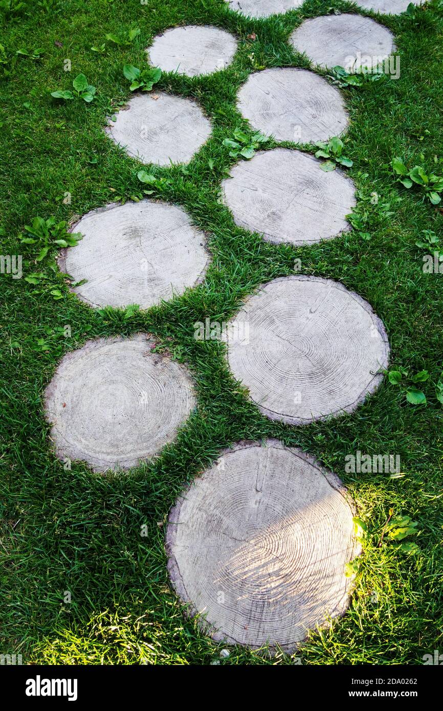 Stump section hi-res stock photography and images - Alamy