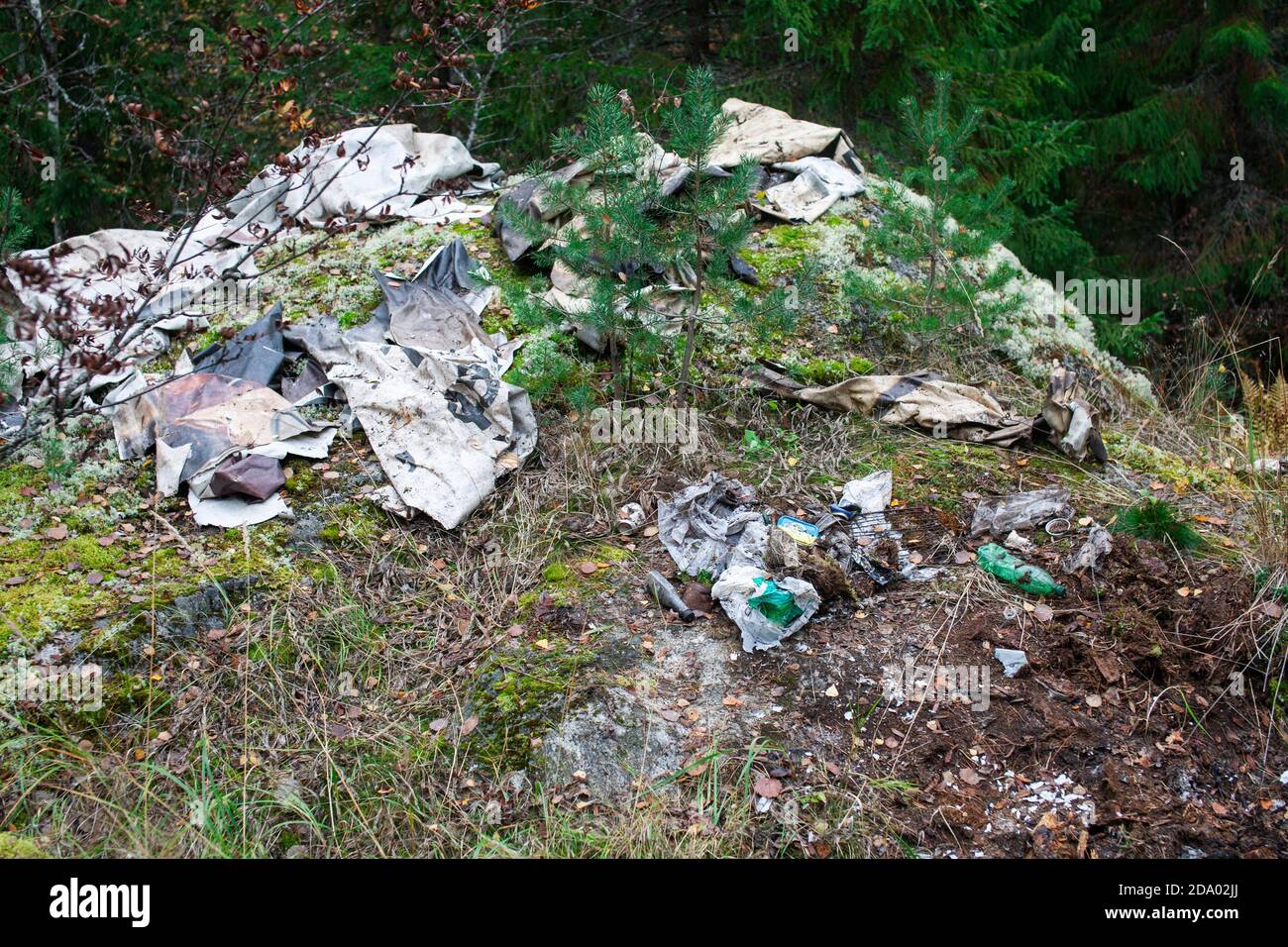 big amount of trash in forest, global environment issues Stock Photo ...