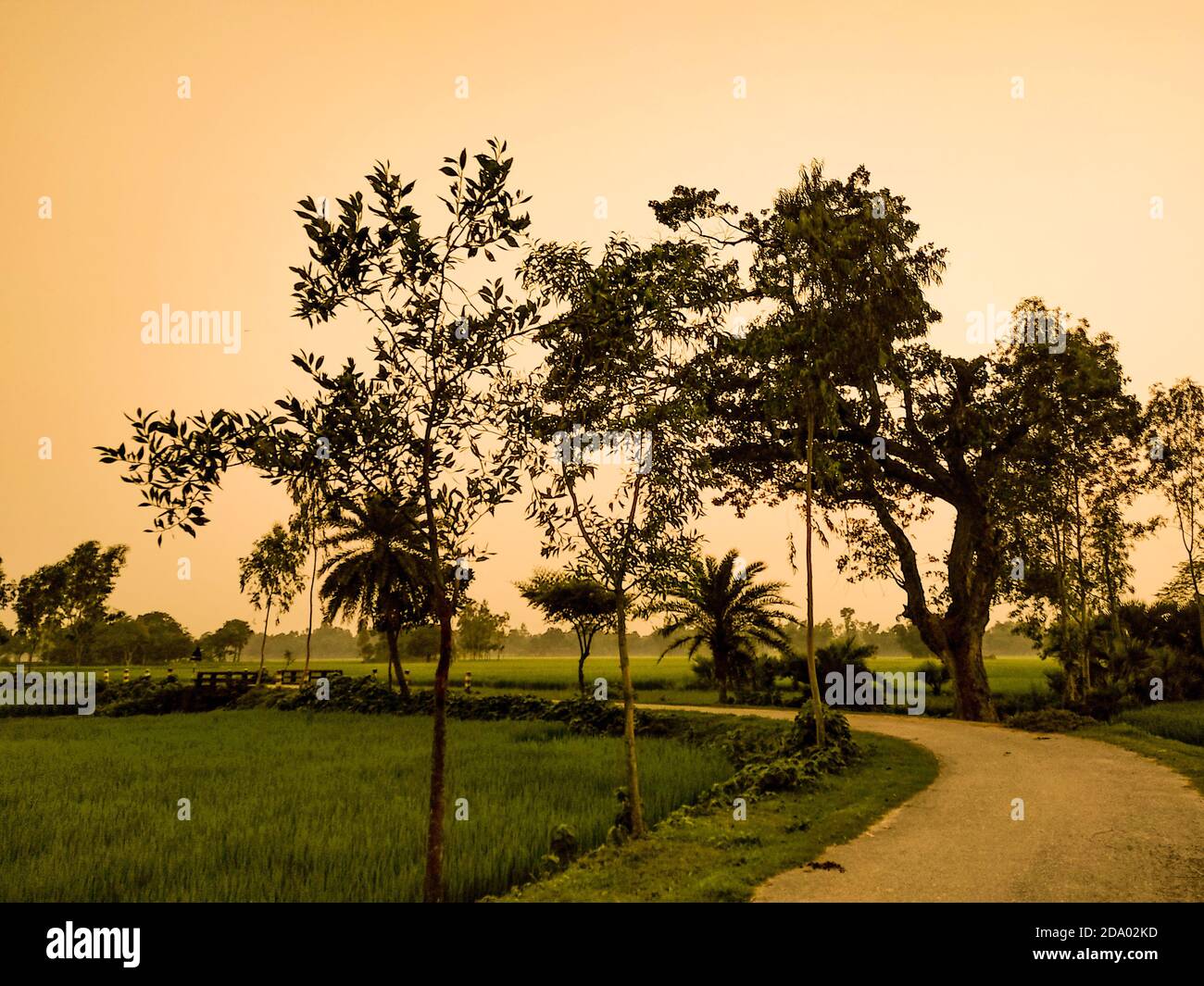 Bangladeshi village landscape hi-res stock photography and images - Alamy