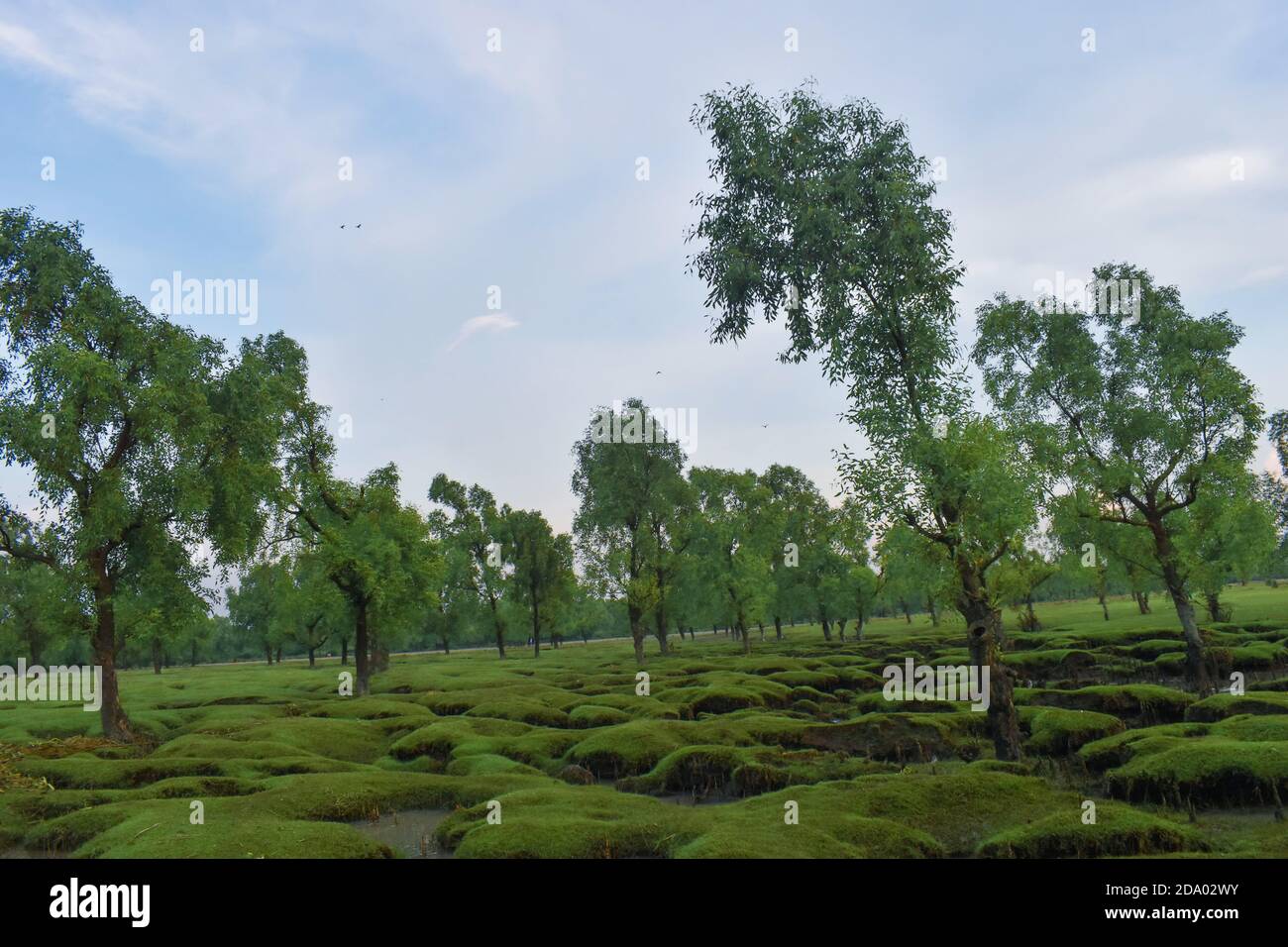 Guliakhali sea beach is one of the lesser known beaches of Bangladesh ...