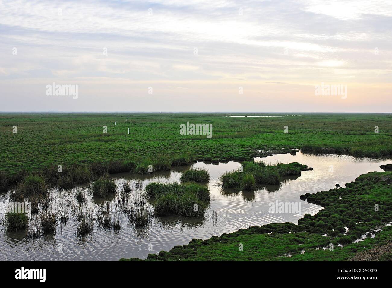 Salt marsh on the ribble estuary hi-res stock photography and images ...