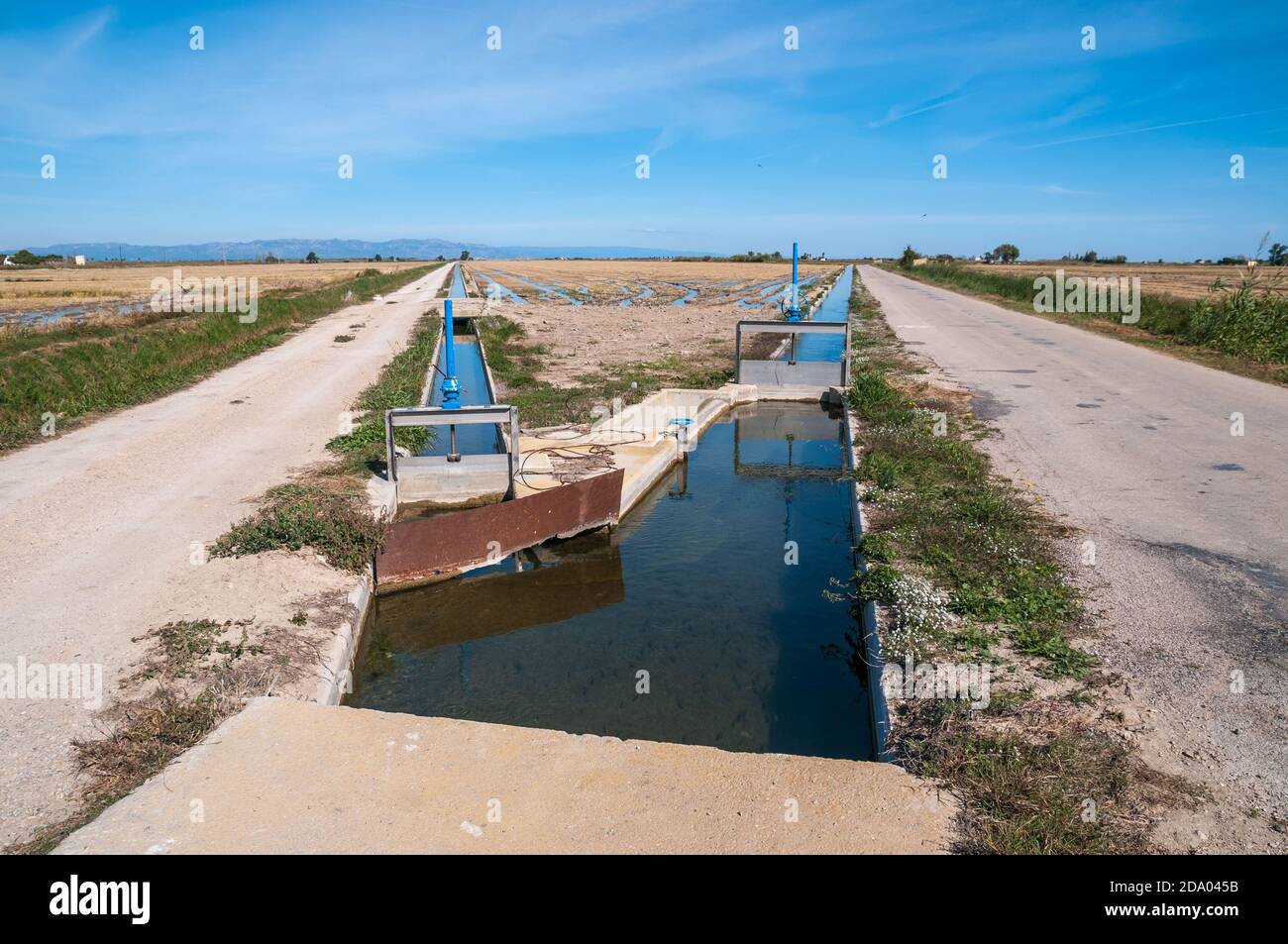 rice irrigation channel, Ebro delta, Catalonia, Spain Stock Photo - Alamy