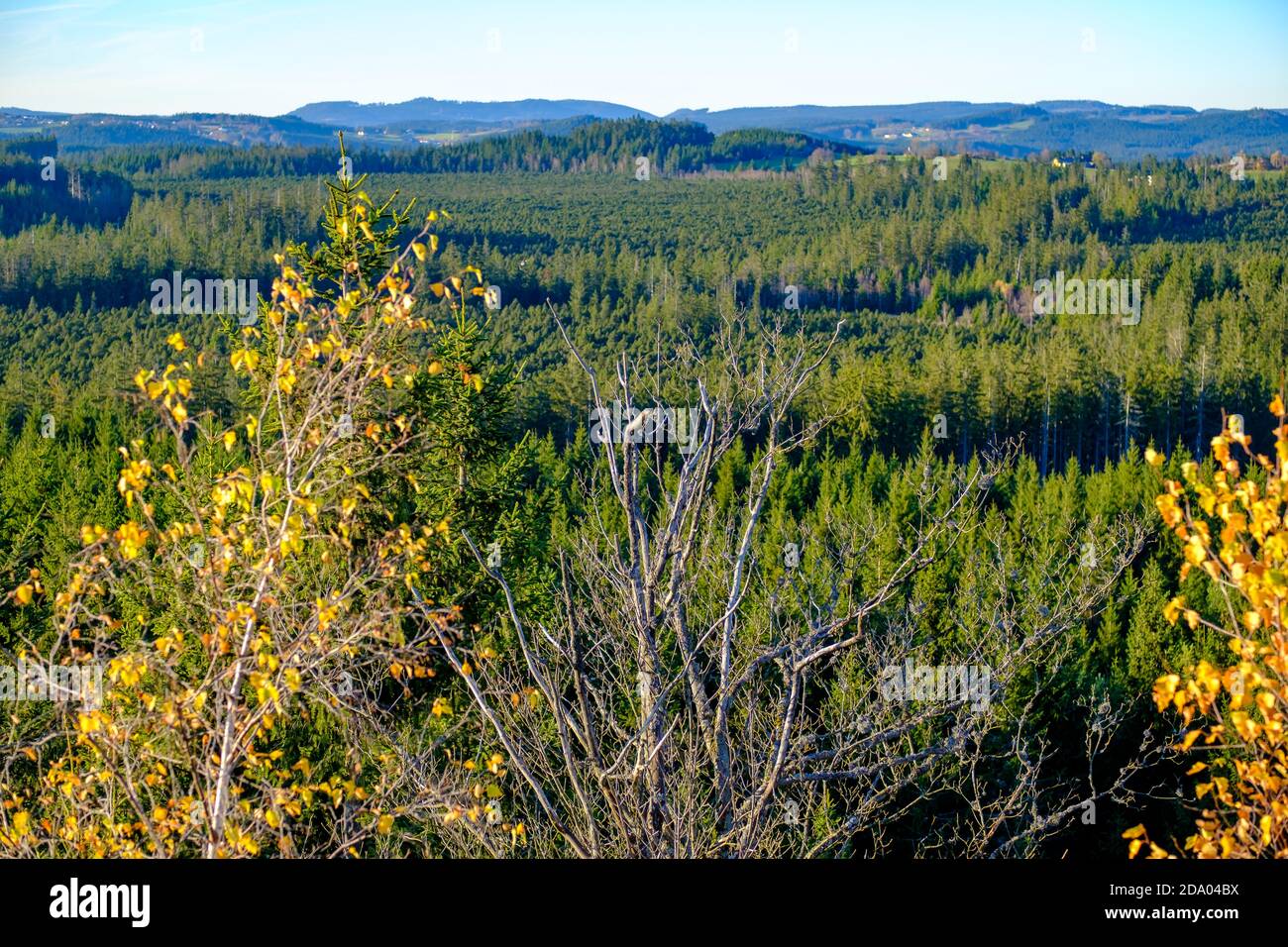 Tanner fall hi-res stock photography and images - Alamy