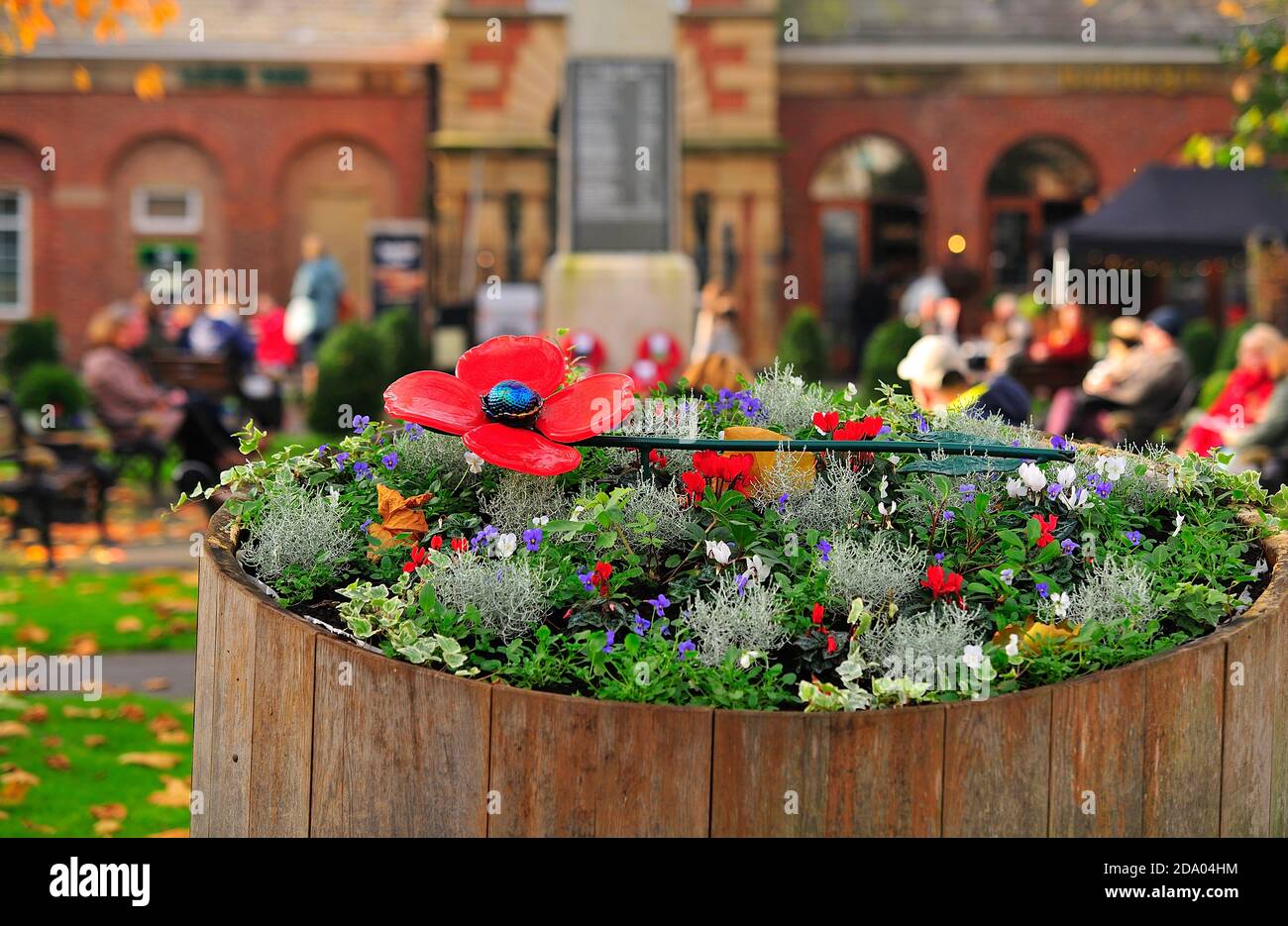 Poppy laying on planter containing colourful plants in Lytham market ...