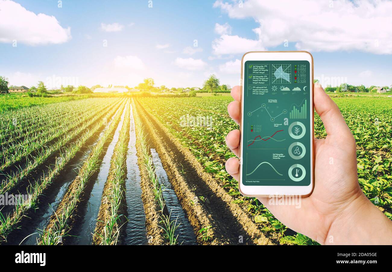 The farmer receives information on the state of the crop and conditions ...
