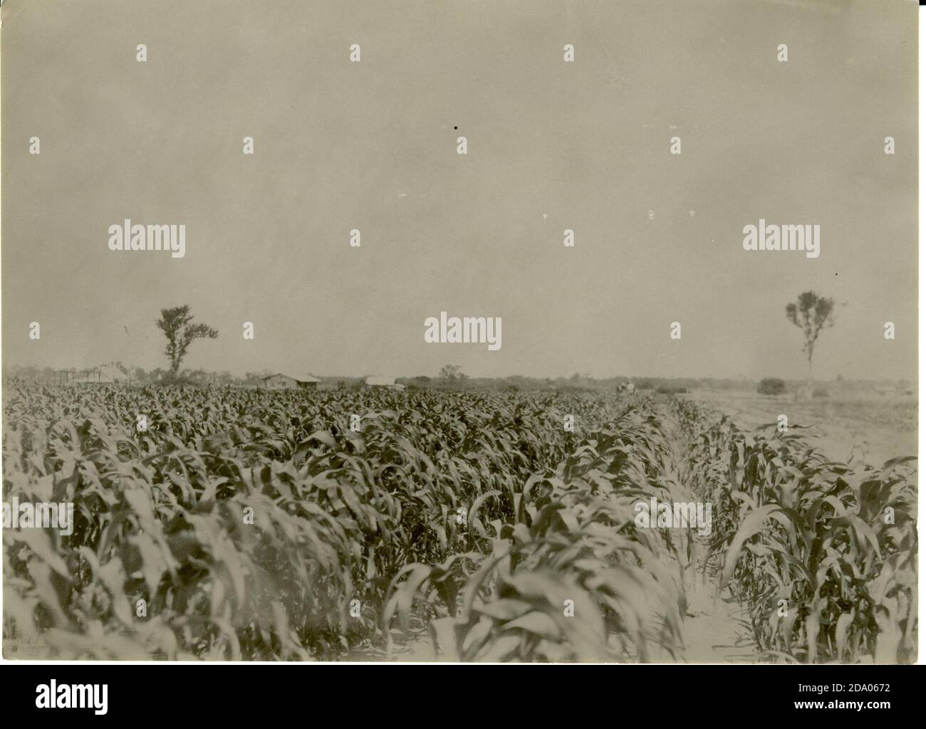 Johann r hi-res stock photography and images - Alamy