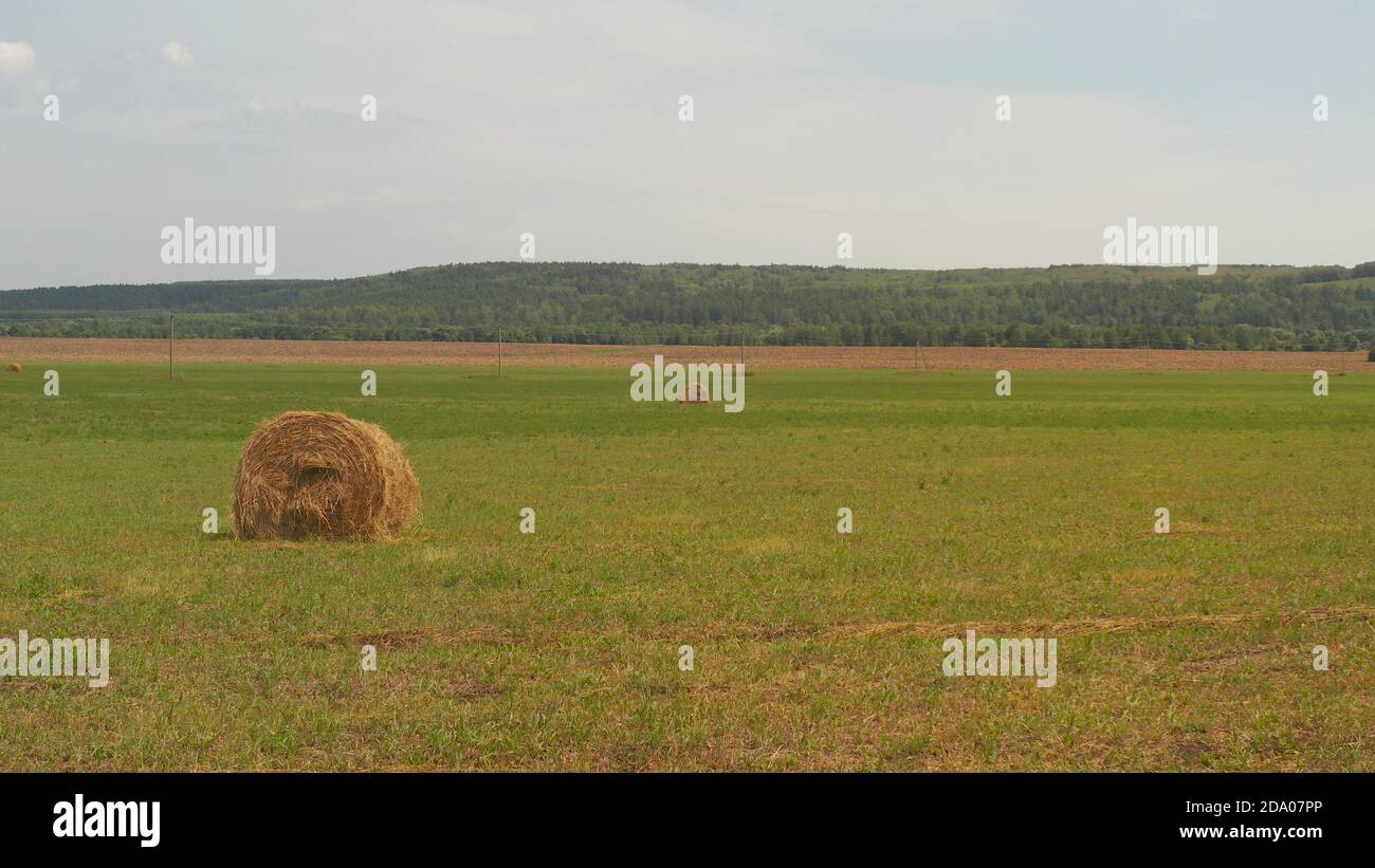Hay bay rolls hi-res stock photography and images - Alamy