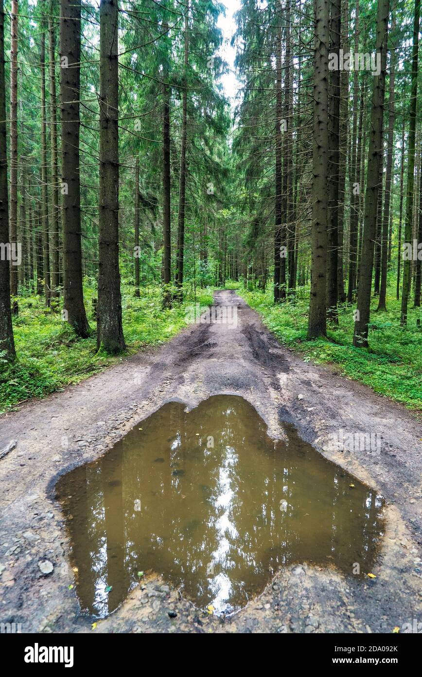 Large puddle of rain water hi-res stock photography and images - Alamy