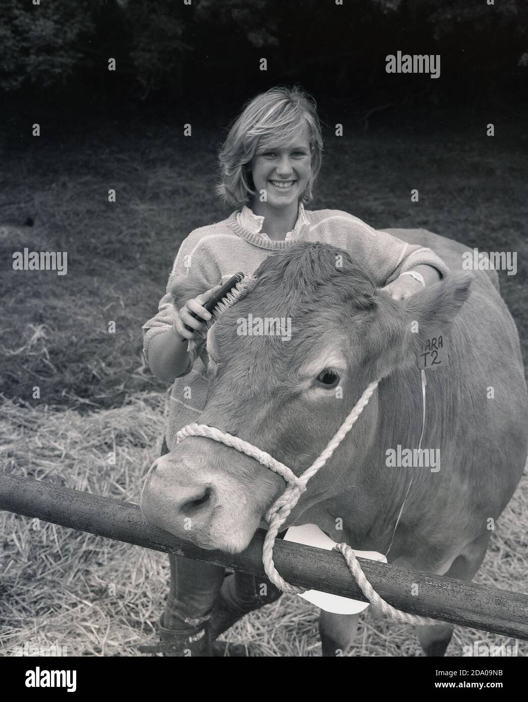 A girl giving her bull 'Tara' a brush before she enters the prize bull ...