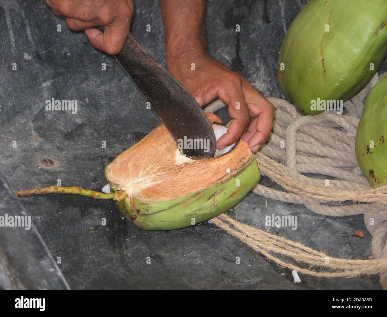 Opening coconuts hi-res stock photography and images - Alamy