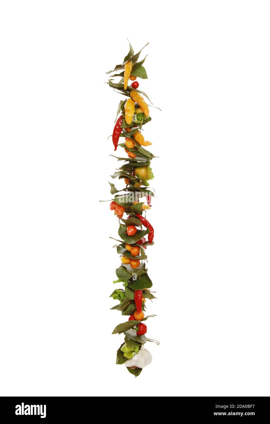 Spicy colorful chili peppers on a string isolated on a white background ...