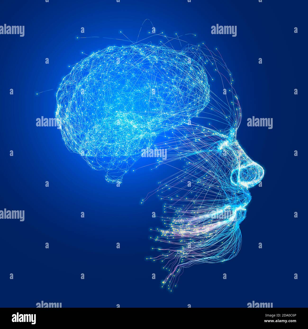 Neurology, philosophy: connections, the development of thought and ...