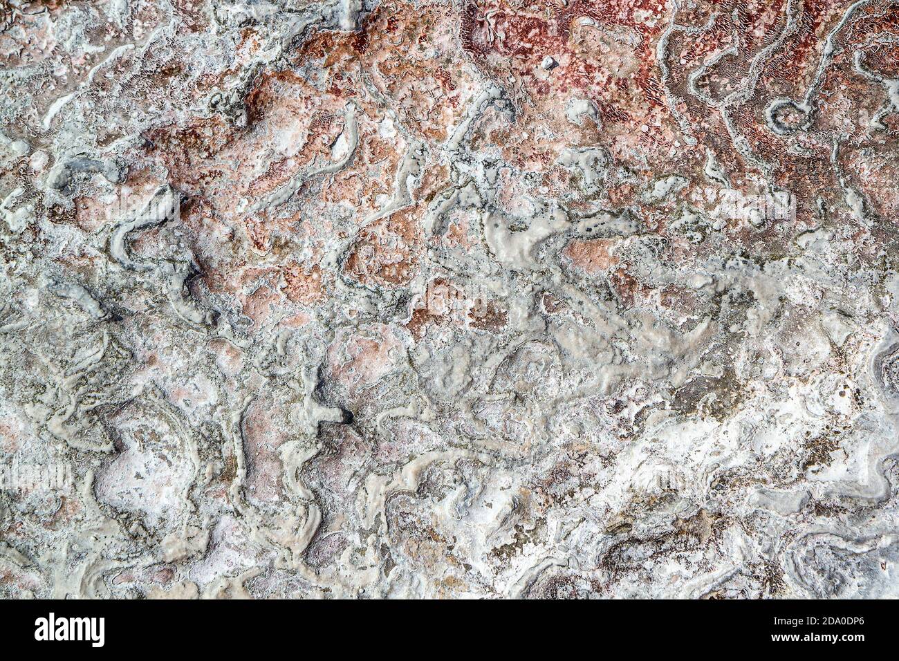 Stone texture covered with calcium deposits. Pamukale texture Stock ...