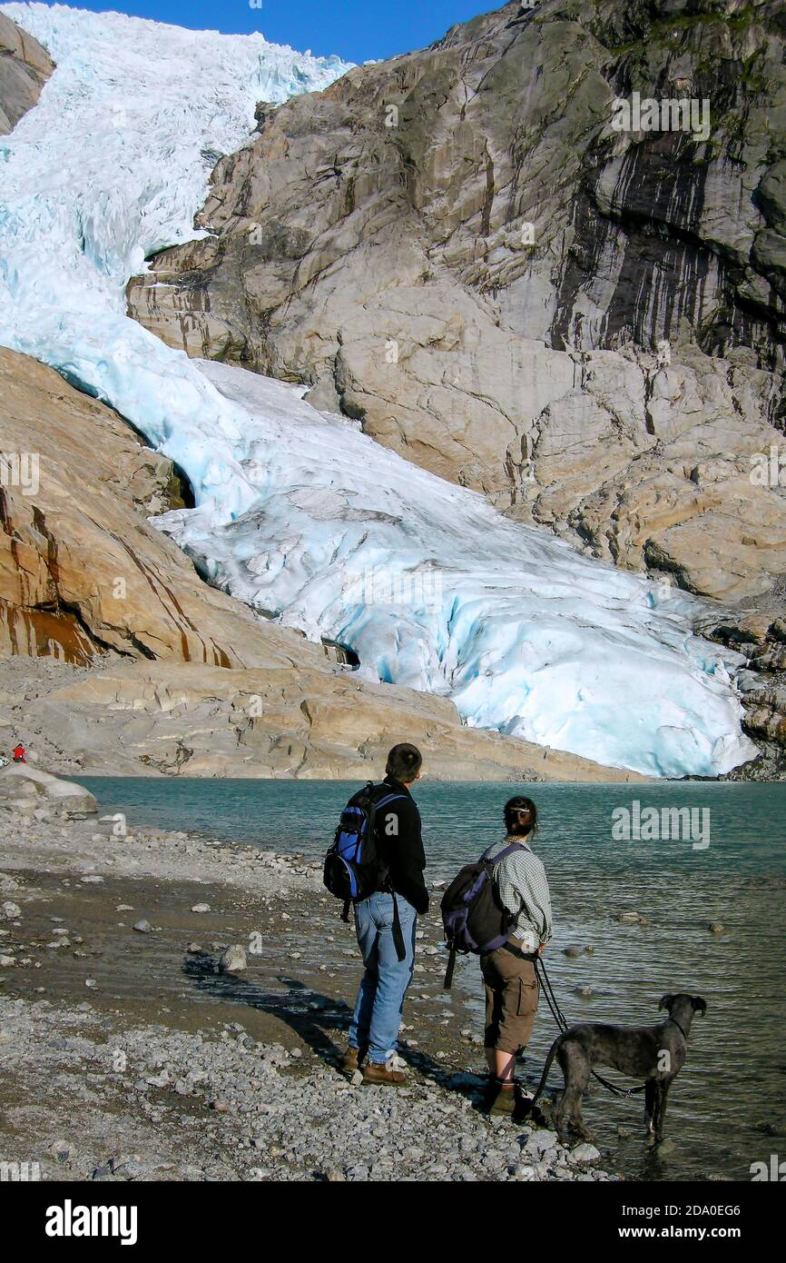 Briksdal Glacier (Briksdalbreen), Norway. Couple with a great dane dog ...