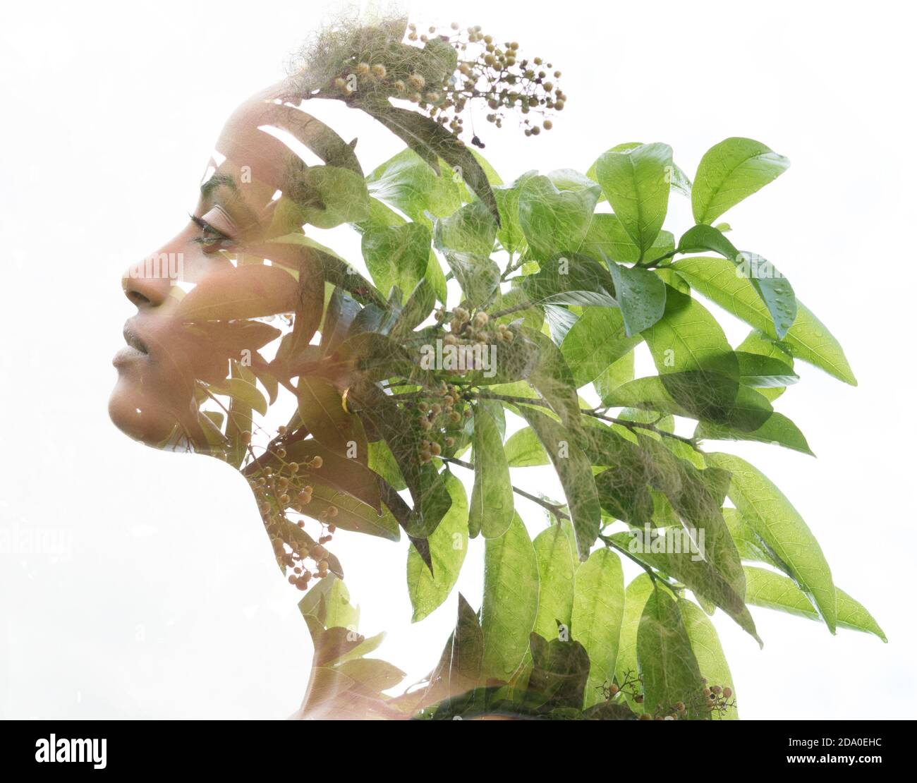 Surreal creative double exposure portrait Stock Photo - Alamy
