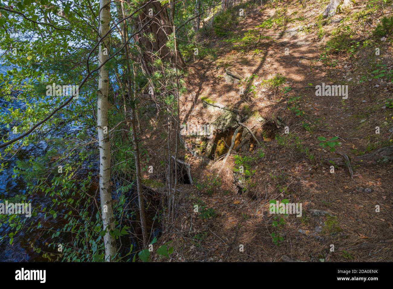 Beautiful coast line landscape view . Tree roots around groove leading ...
