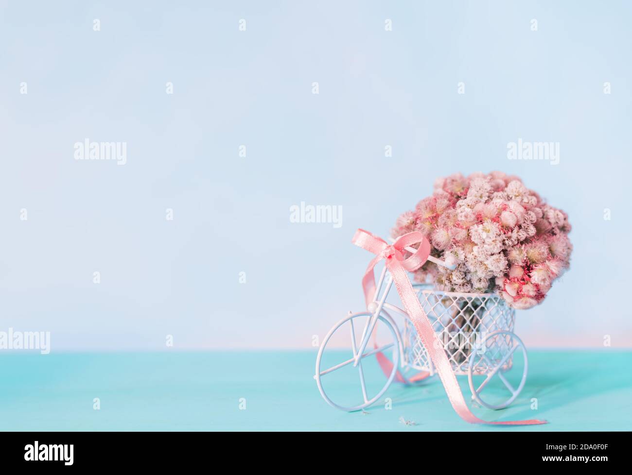 Pink floral decoration on pink bicycle hi-res stock photography and ...