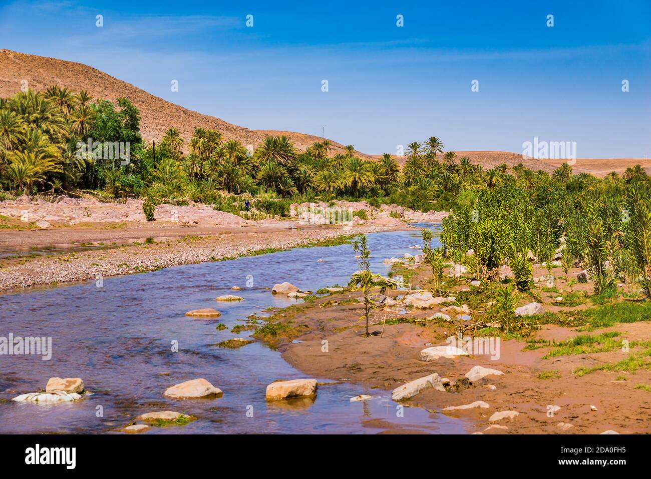 River with water in rainy season. Fint Oasis, Ouarzazate, Drâa ...