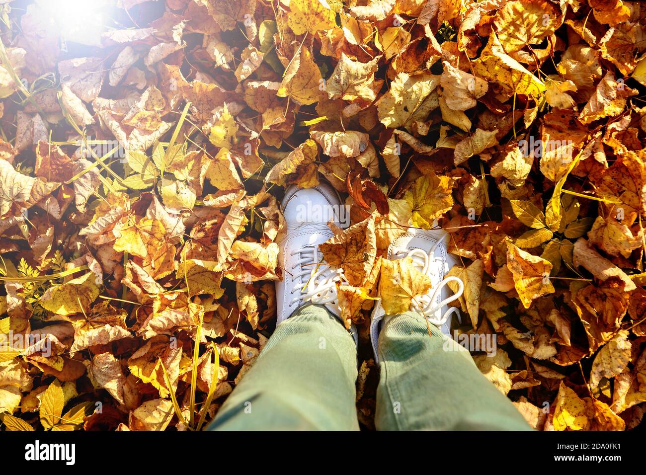 Feet sneakers walking on autumn leaves outdoor with autumn season ...
