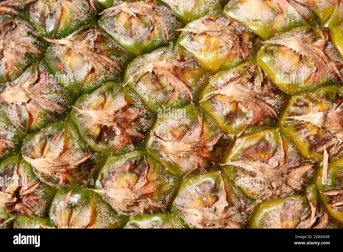 Pineapple texture close up. Macro photo of a pineapple Stock Photo - Alamy