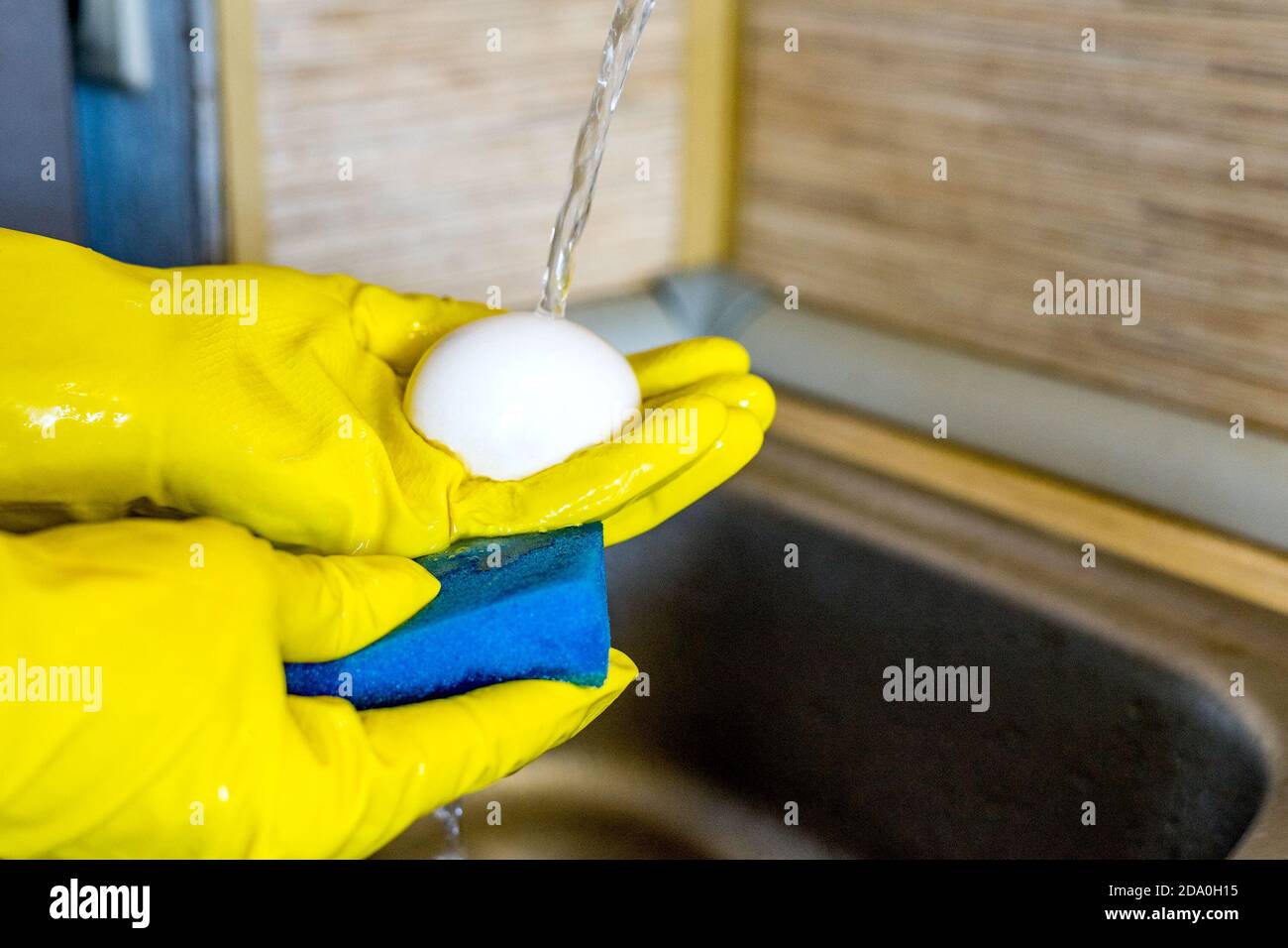 Washing fresh eggs in the kitchen sink using gloves and a sponge for ...
