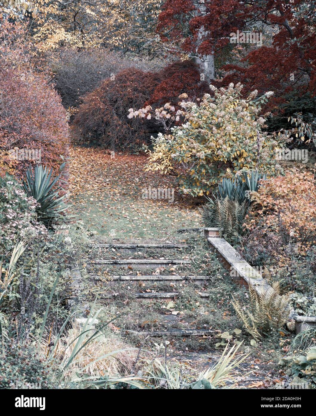 Old Steps with Plants and Flowers, Country House Gardens, Englefield ...