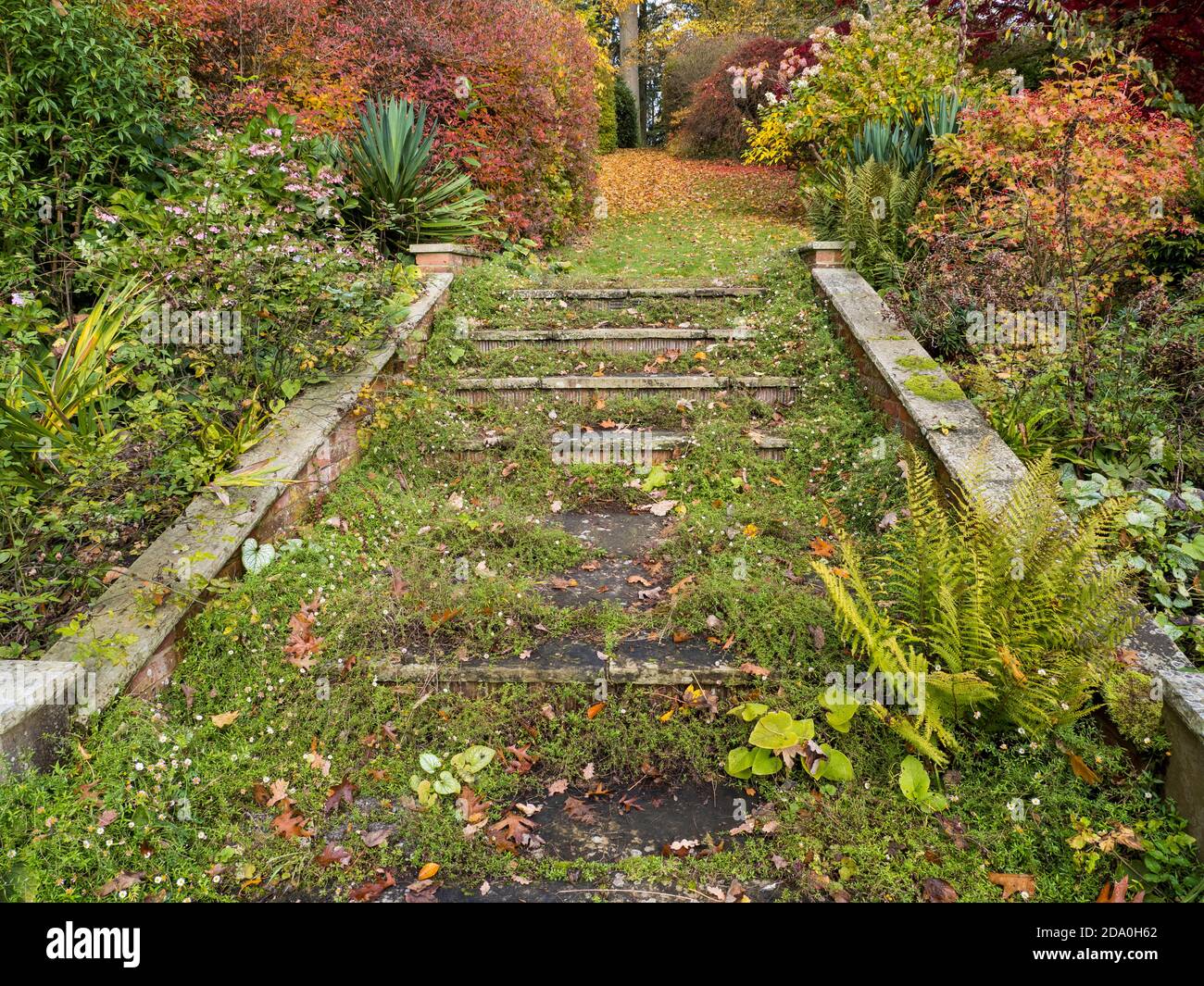 Old Steps with Plants and Flowers, Country House Gardens, Englefield ...