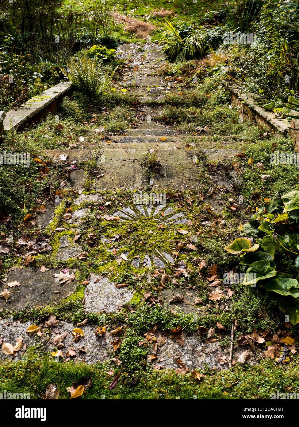 Old Steps with Plants and Flowers, Country House Gardens, Englefield ...