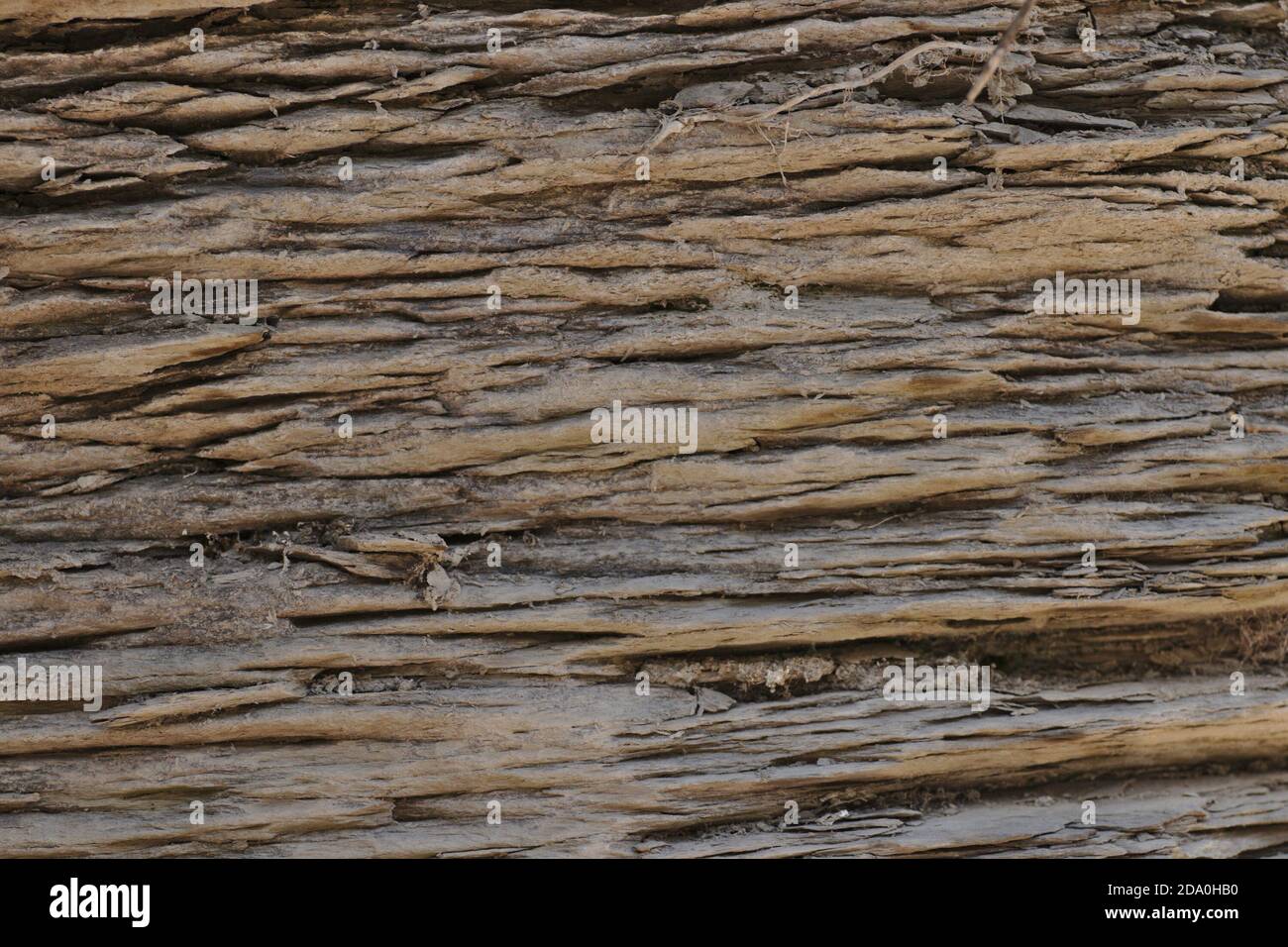 Natural slate stone showing multiple layers and organization close up ...