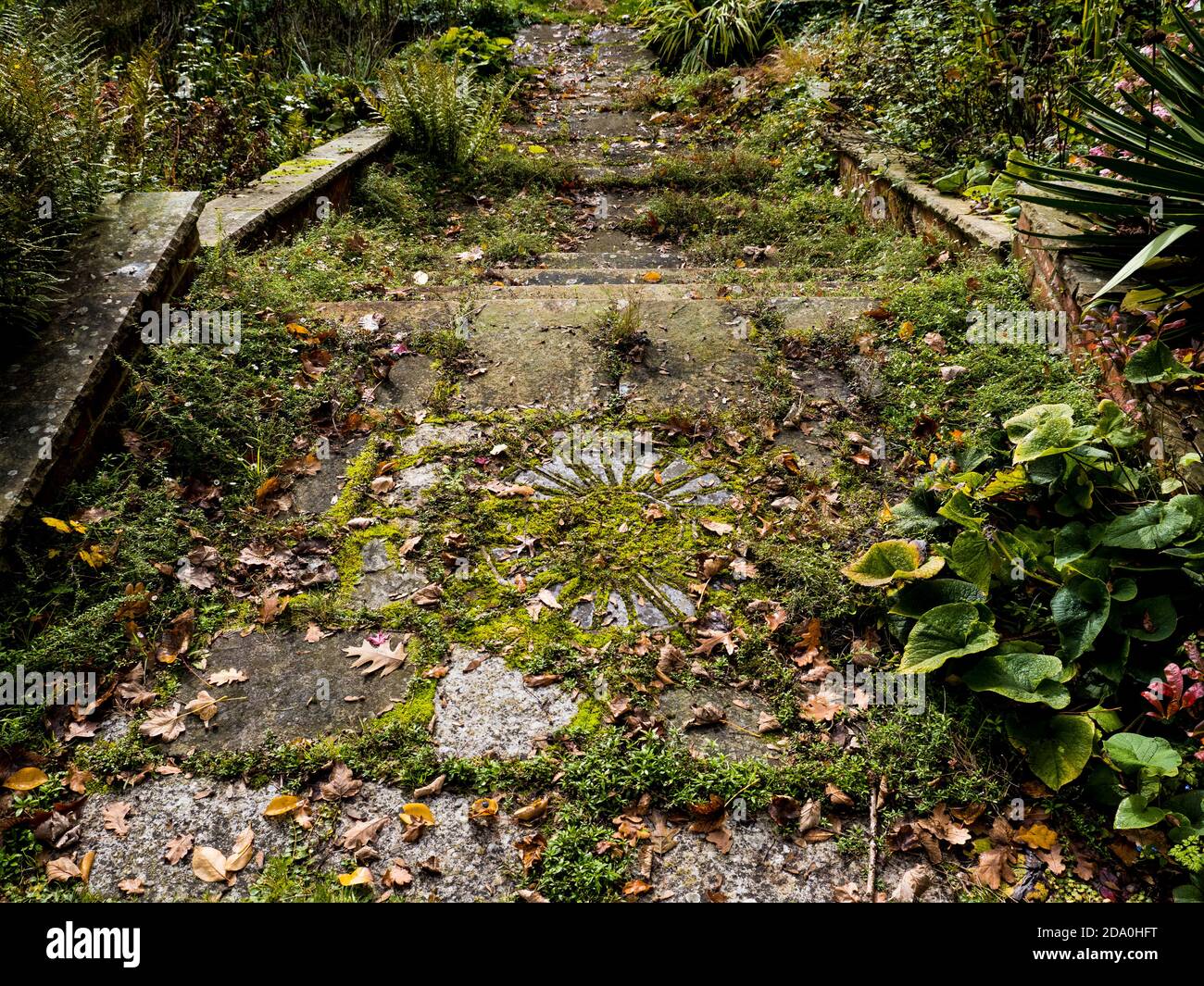 Old Steps with Plants and Flowers, Country House Gardens, Englefield ...